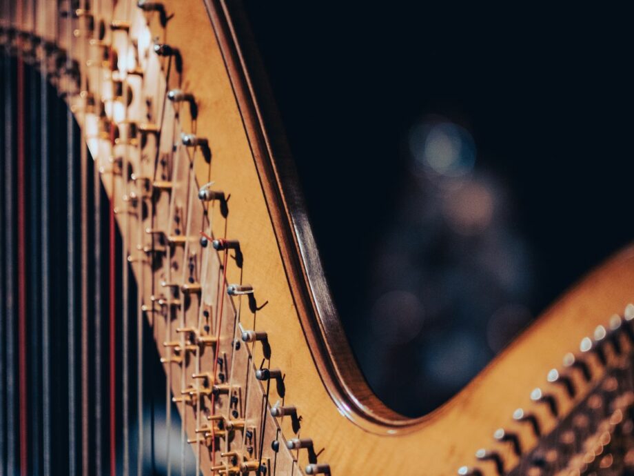 A Journey Through the Harp-Making Process: From Wood Selection to Assembly